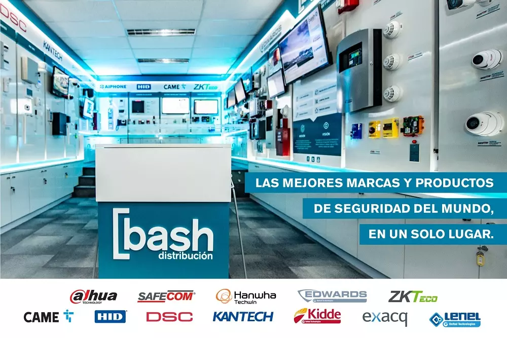 Bash Chile busca talento: Descubre nuestras ofertas de empleo
